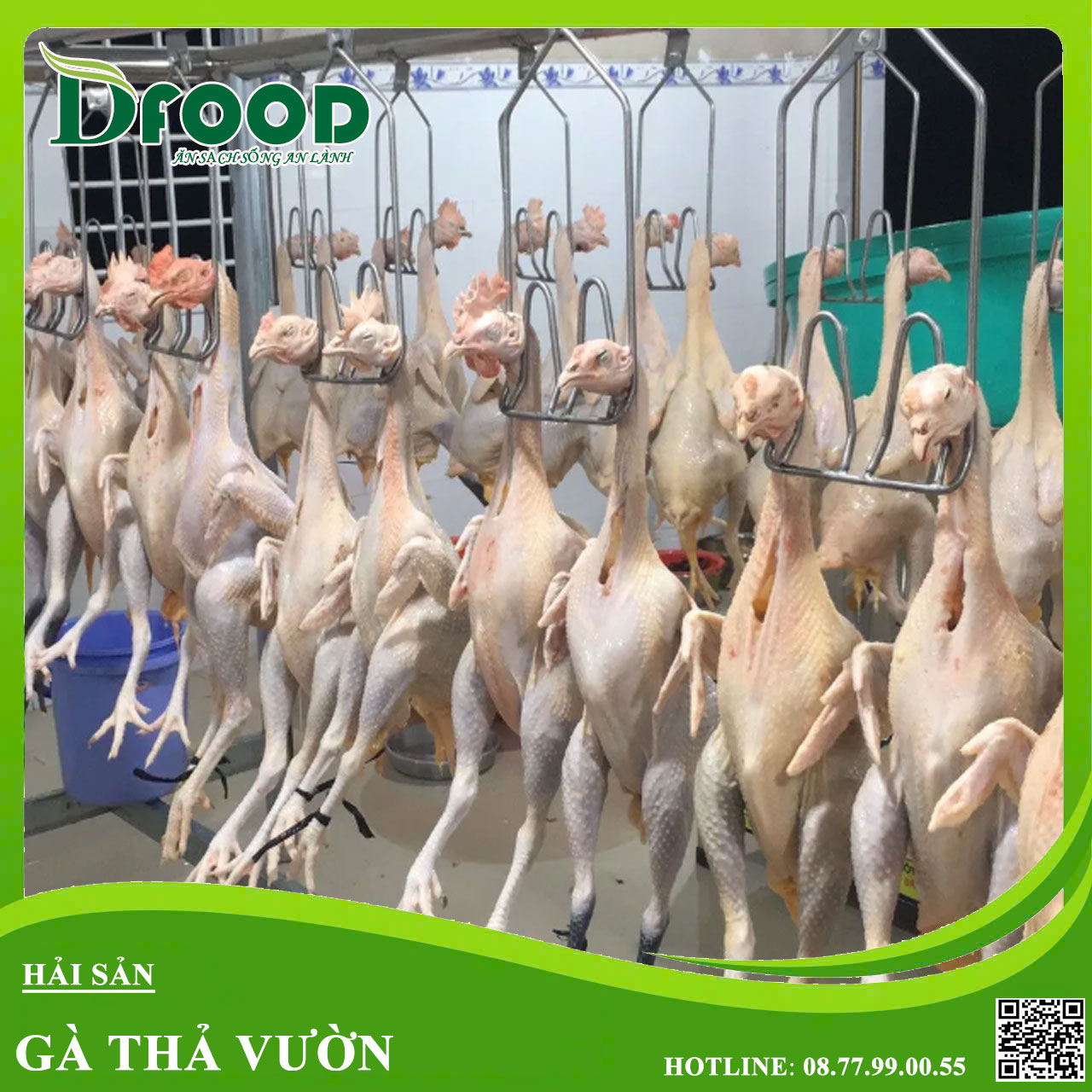 Gà thả vườn nguyên con ( 1,0kg - 1.3kg )